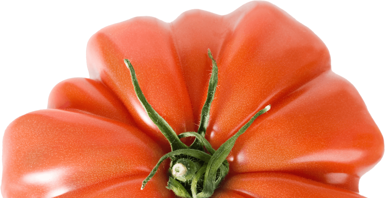 Global Kitchen - Visit Porto