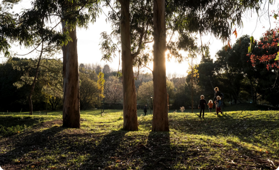 Nature attractions - Visit Porto